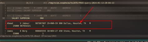 Problem With Dadbod Ui Schema Doesnt Show And Query Result Is Folded