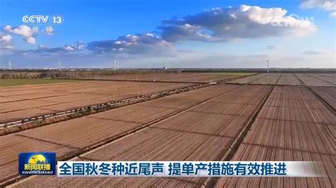 全国秋冬种近尾声 提单产措施有效推进新闻频道央视网