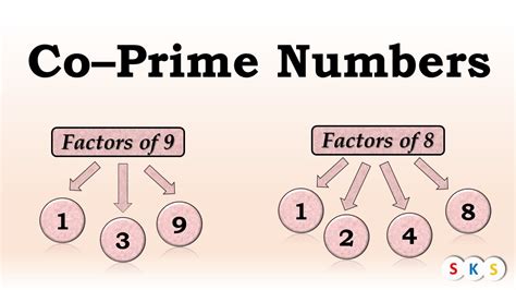 Prime Numbers Examples
