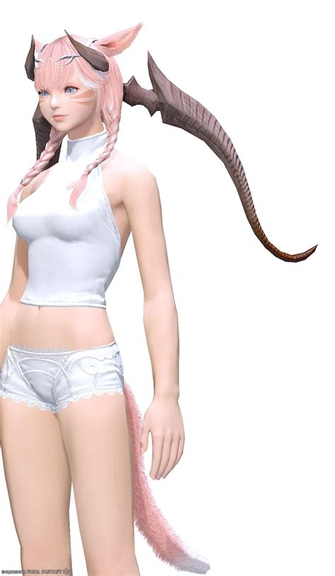 【ff14】サキュバスホーン装備👗各種族での見た目・入手方法【ゴールドソーサー】 ミラプリライフ