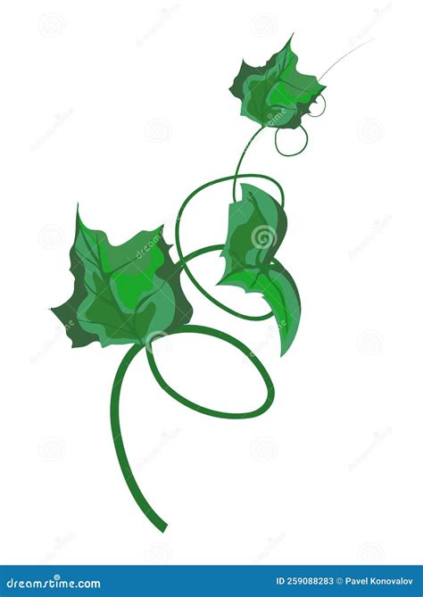Pumpkin Sprout Stock Vector Illustration Of Growth 259088283
