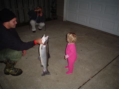 Reset Iis On All Servers In A Sharepoint Farm Using Powershell