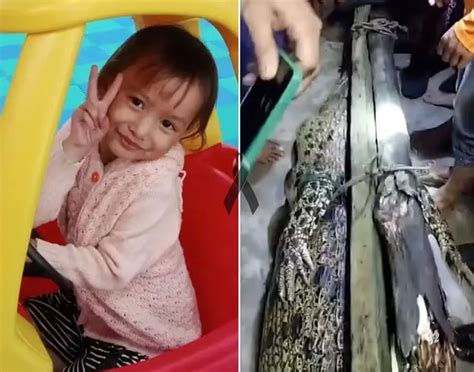 Menina De 5 Anos Perde A Vida Após Ser Devorada Por Crocodilo Na