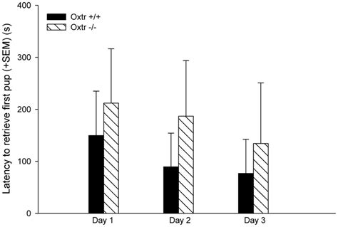 Latency To Retrieve The First Pup By Oxtr And Oxtr 22 Dams On