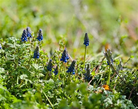 穏やかな春の日に そらいろぺんしる