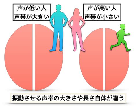 歌声と話し声の関係性についての考察
