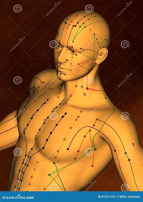 Acupuncture Model M Pose M4ay 06 1 3d Model Stock Illustration