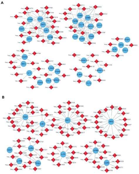 De Circrnas And Mrnas Co Expression Networks In The Immune Related