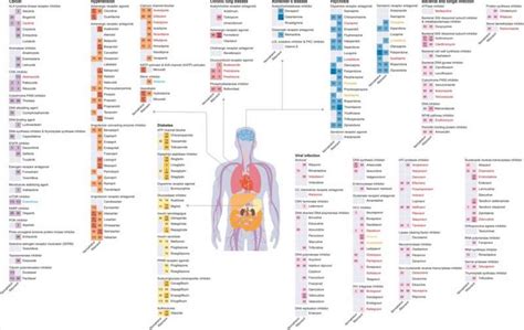 Ai Based Analysis On Drug Drug Interactions Involving Paxlovid