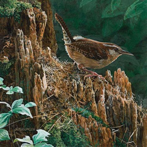 Wildlife Art And Science Artofit
