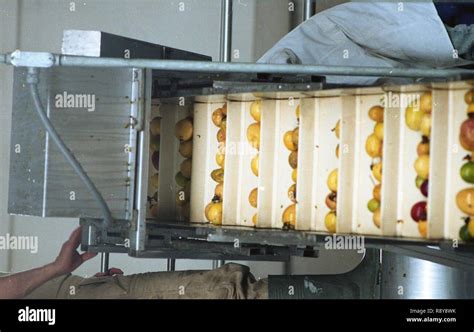 Picture Of Food In Machine Stock Photo Alamy