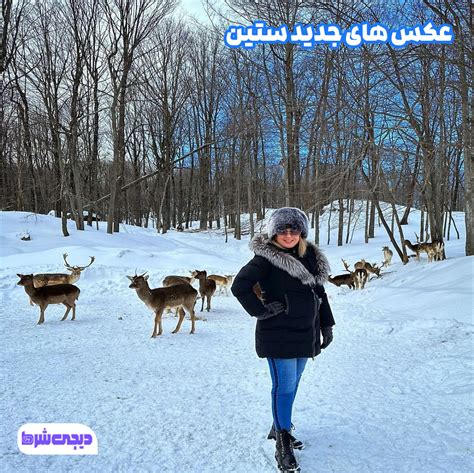 بیوگرافی ستین Satin 🚀