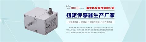 动态扭矩传感器 旋转扭力传感器 音叉密度计传感器 南京冉控