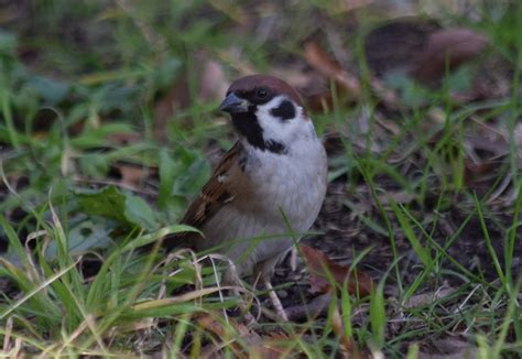 Maranda Mae Photos Marandamaephoto Twitter