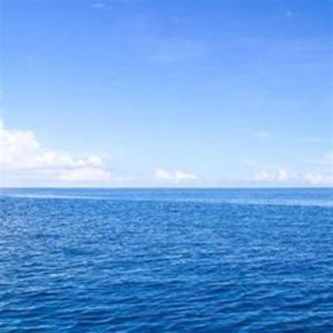 Xiaolei Jiao Sun Yat Sen University Guangzhou Sysu Center For