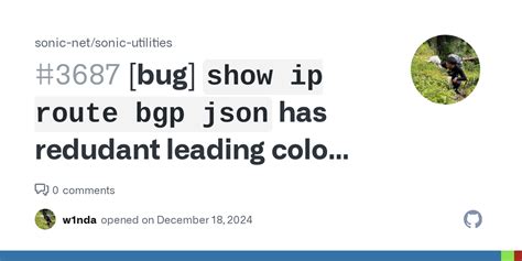 Bug `show Ip Route Bgp Json` Has Redudant Leading Colon Which Is Invalid Json Data · Issue