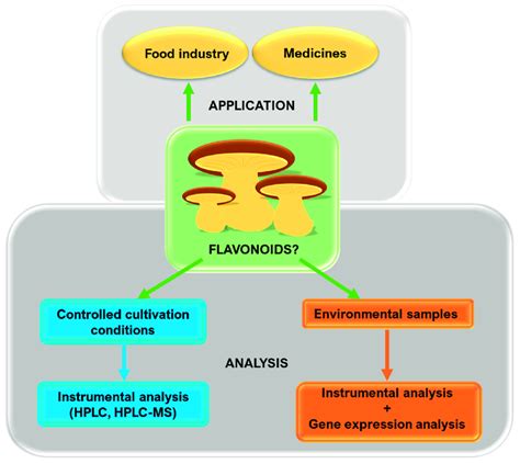 Proposed Scheme Of Experiment Selection For Different Specimens