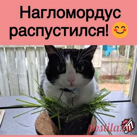Запись на стене Грешная юмор Постила