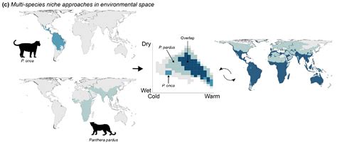 Biodiversity Patterns Redefined In Environmental Space Elisa Barreto