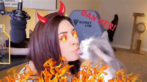 Twitch Streamer Throws Cat At Nate Hocking Blog