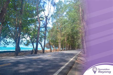 หาดสวนสน ระยอง อยากเที่ยวทะเล ไม่ต้องไปไกลถึงภาคใต้ Teenaideerayong