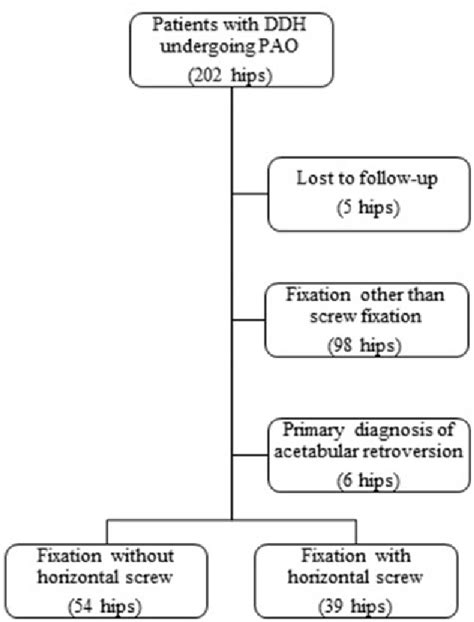Figure 1 From Is Transverse Screw Fixation Really Necessary In Pao—a