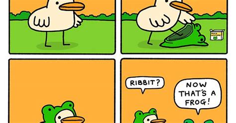 Ducky Frog Album On Imgur