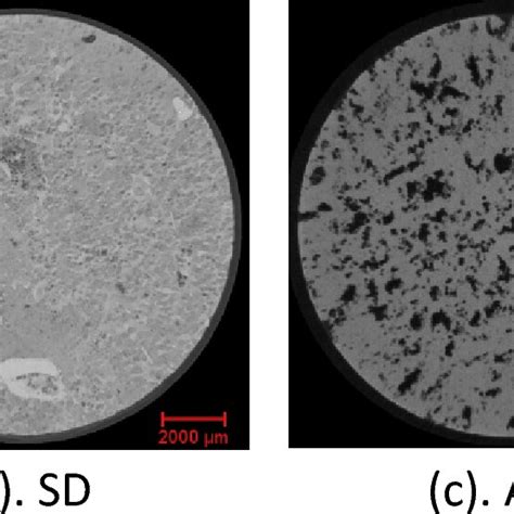 Pore Throat Distribution Plots Of The Selected Rock Samples Download Scientific Diagram