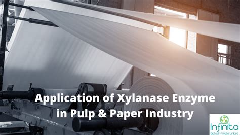 Application Of Xylanase Enzyme In Pulp And Paper Industry Infinita Biotech