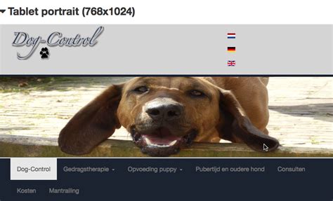 main menu do not collapse correct joomlart
