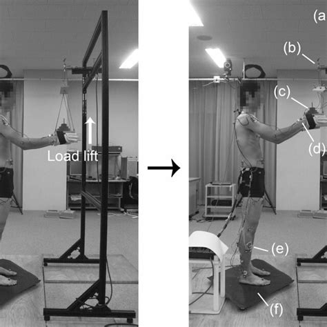 Experimental Setup Participants Stood On A Force Platform With A Download Scientific Diagram