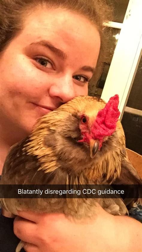 Salmonella Persisters On Chicken Barfblog
