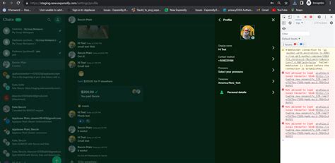 Paid 1000 Setting Console Error Appears And Avatar Is Broken
