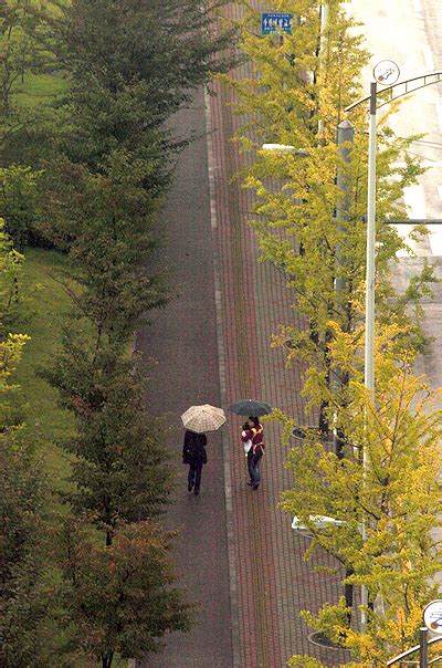 가을비 우산 속으로
