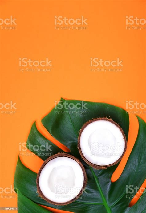 러셋 오렌지 배경에 몬스터 타 열대 식물 잎에 반으로 익은 잘 익은 코코넛의 상단보기 공간을 복사합니다 0명에 대한 스톡 사진 및 기타 이미지 Istock