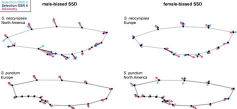 Forefemur Shape Deformations Associated With Mating Success Under Download Scientific Diagram