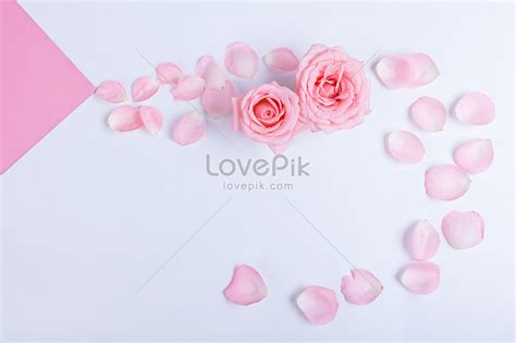 분홍색 발렌타인데이 배경 재료는 사진 무료 다운로드 Lovepik