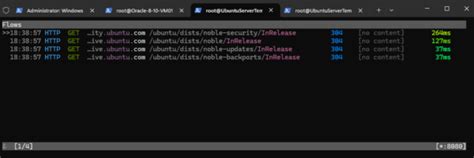 Mastering The Mitmproxy Mitm Interactive Proxy On Linux