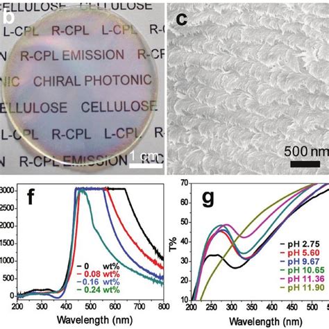 Composite Chiral Photonic Cellulose Films Encapsulating Fluorescent Dye