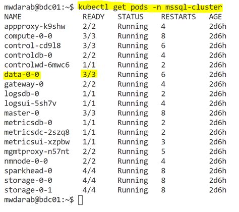 Big Data Clusters A Deeper Dive Into The Data Pool Mohammad Darab
