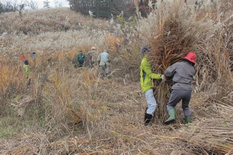 茅を刈って正受庵を修復 飯山雪国大学体験会 北信濃新聞