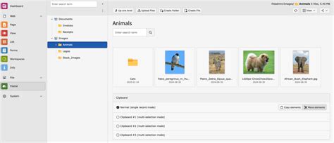 Getting Started With Typo3 Cms Typo3 The Open Source Enterprise Cms