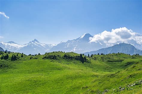 스위스 알프스 산맥 산 Pixabay의 무료 사진 Pixabay