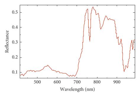 Original Spectrum Curve Of Vegetation Body And Reconstructed Spectrum