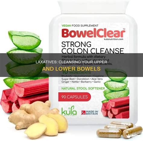 Laxatives Cleansing Your Upper And Lower Bowels Medshun