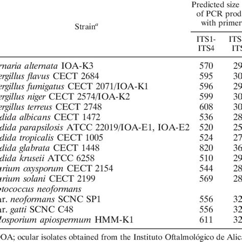 A First Pcr Its1 Its4 Primer Pair From Different Ocular Samples M
