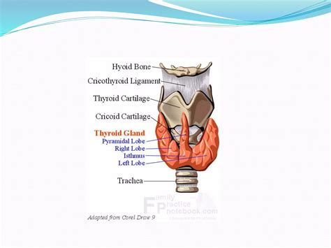 Thyroid Cancer Approach Pptx