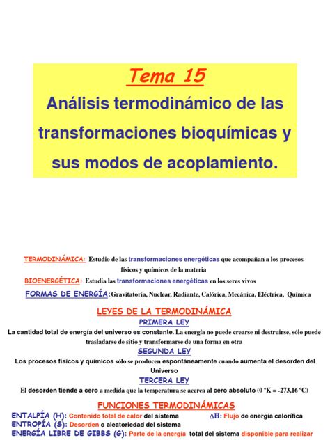 Tema 15 Pdf
