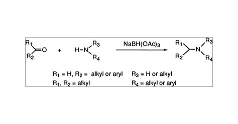 Reductive Amination Of Aldehydes And Ketones With Sodium