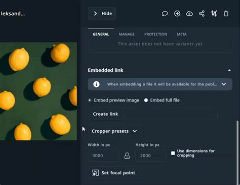 Embedded Links Lytho Guide